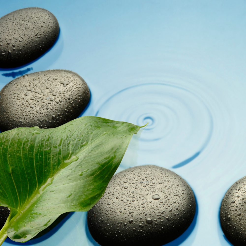 Patches – All Things Homeopathy